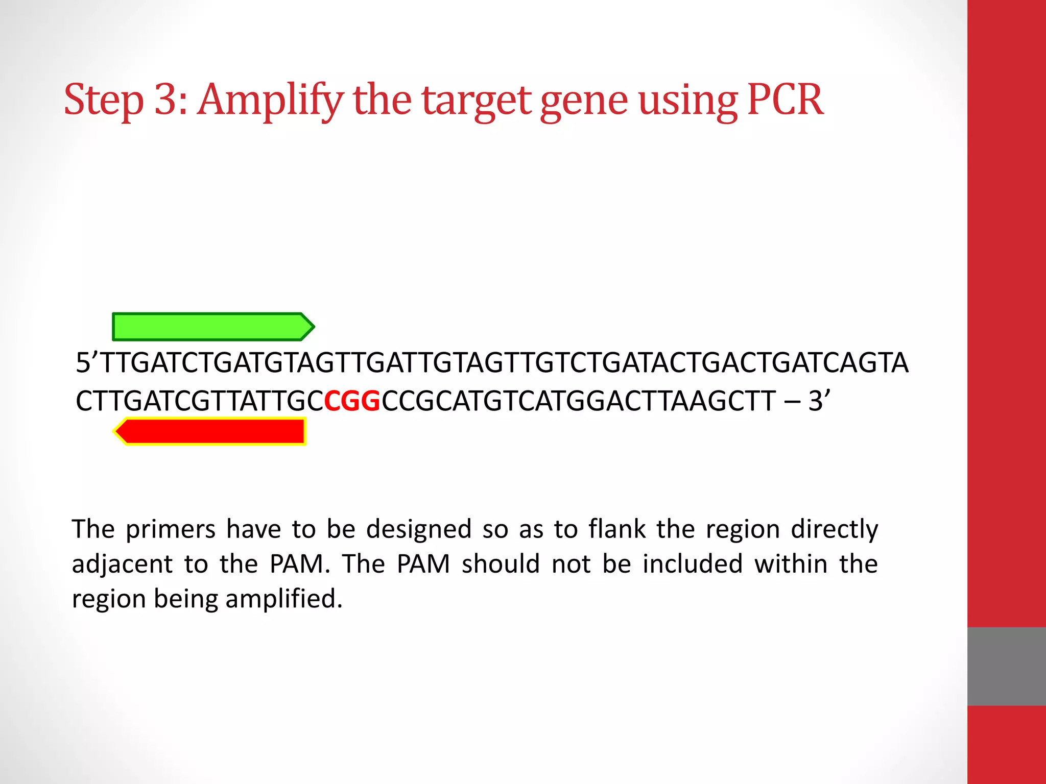 PRINCIPLE OF CRISPR GENOME EDITING | PPTX