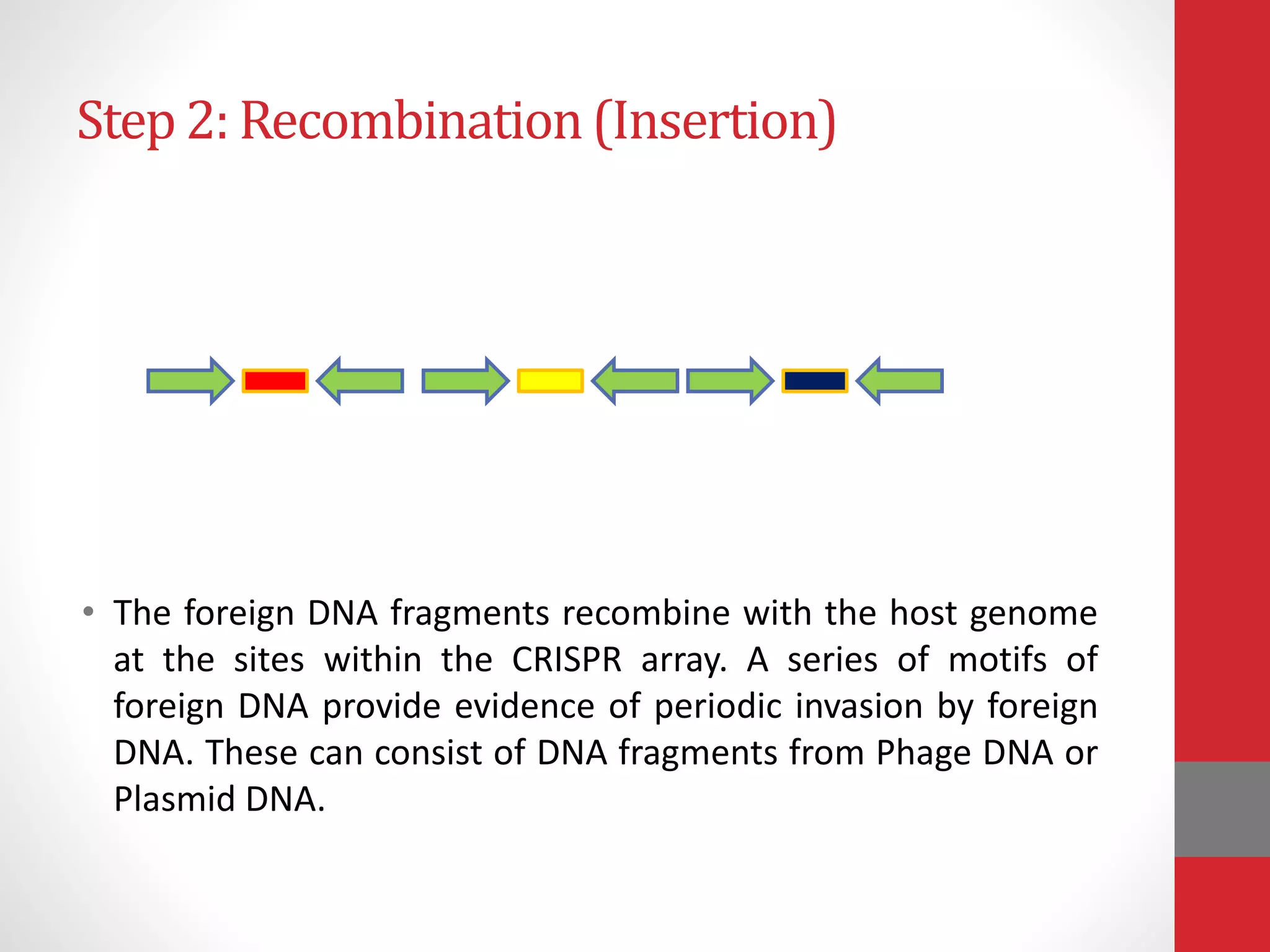 PRINCIPLE OF CRISPR GENOME EDITING | PPTX