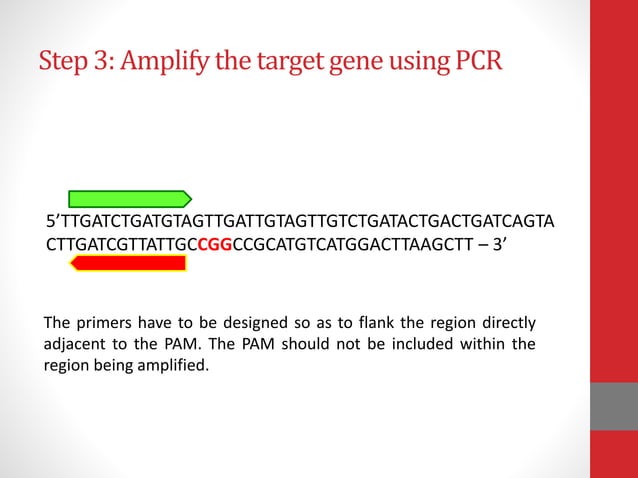 PRINCIPLE OF CRISPR GENOME EDITING | PPTX | Programming Languages ...