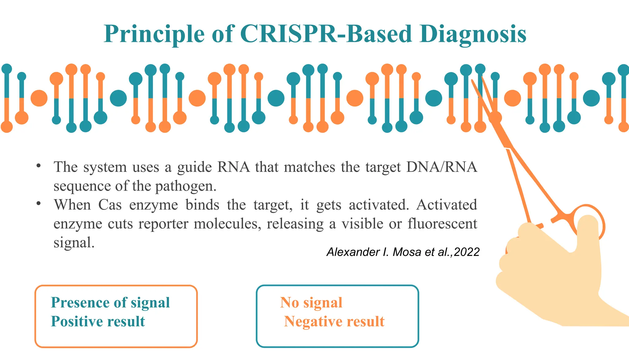 CRISPR, Crispr cas , CRISPR case 9 system.pptx