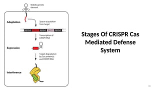 CRISPR CAS SYSTEM: MECHANISM AND TYPES ... | PPTX