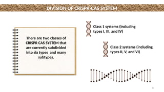 CRISPR CAS SYSTEM: MECHANISM AND TYPES ... | PPTX