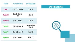 CRISPR CAS SYSTEM: MECHANISM AND TYPES ... | PPTX