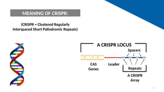 CRISPR CAS SYSTEM: MECHANISM AND TYPES ... | PPTX