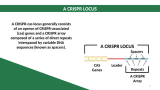 CRISPR CAS SYSTEM: MECHANISM AND TYPES ... | PPTX