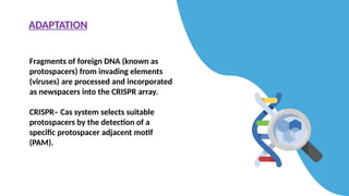 CRISPR CAS SYSTEM: MECHANISM AND TYPES ... | PPTX