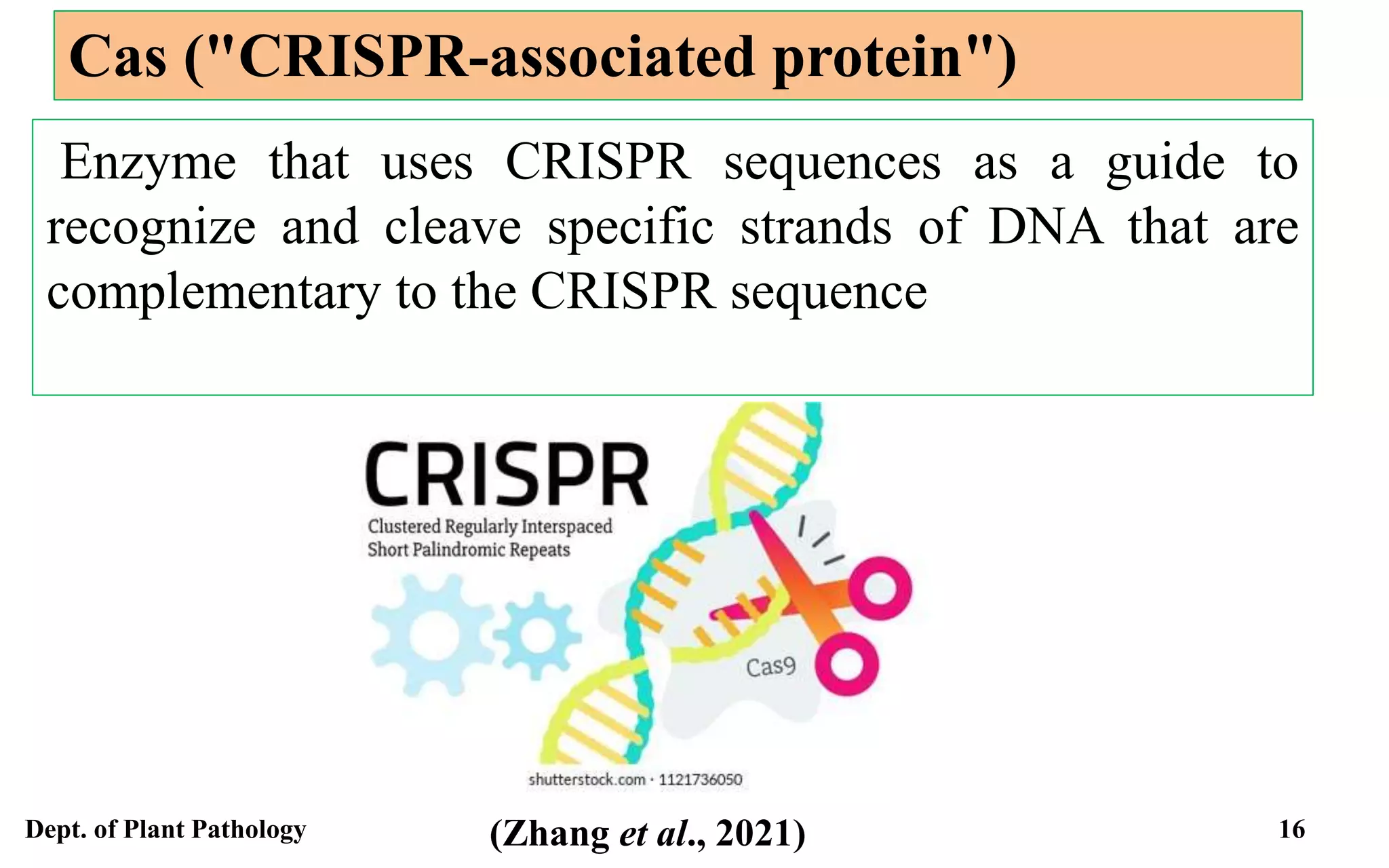 CRISPR Cas technology in Plant Disease Management.pptx