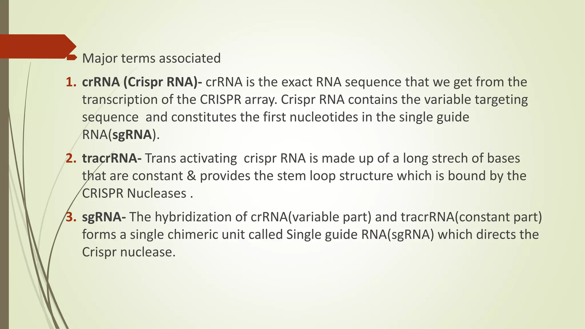 Crispr guides the_future_of_genetic_engineering[1] | PPTX
