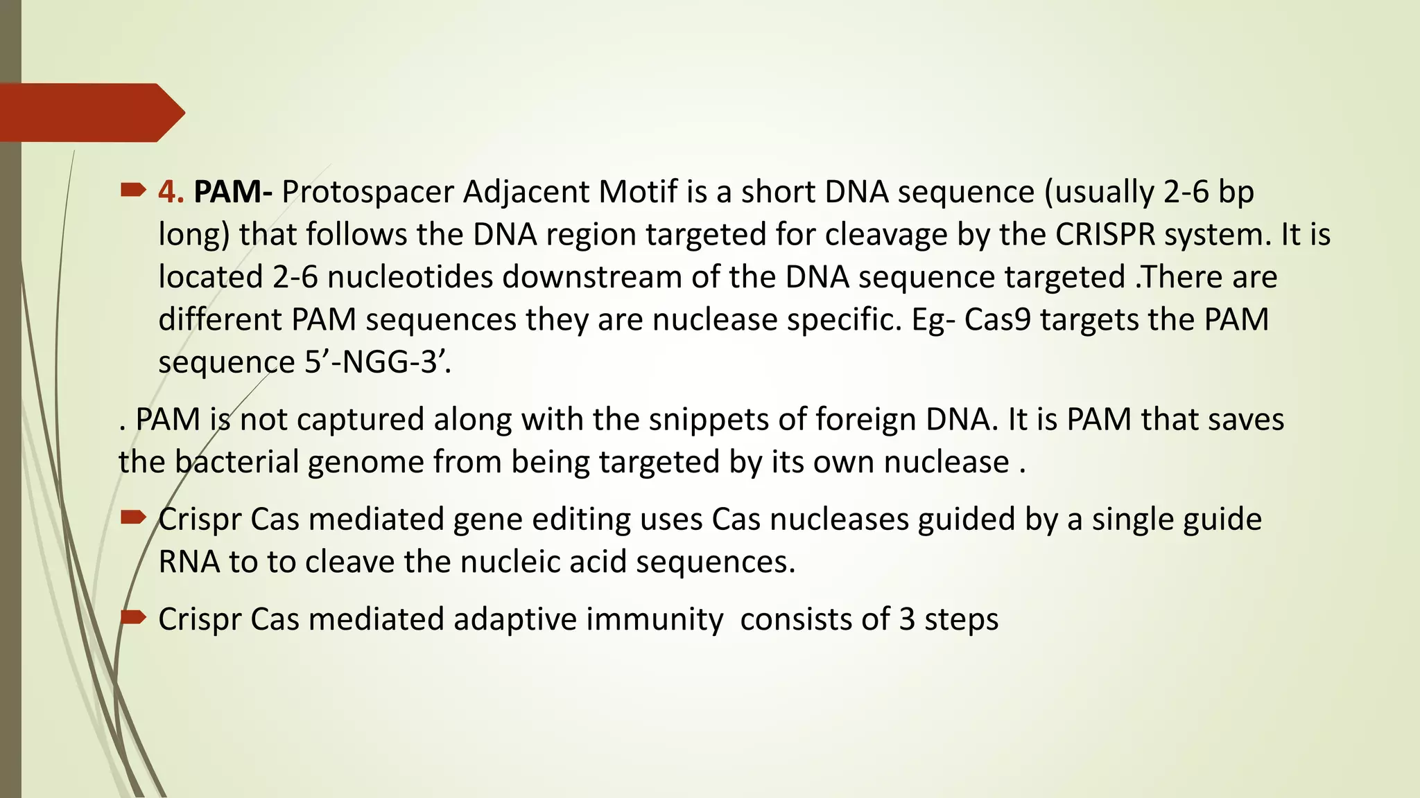 Crispr guides the_future_of_genetic_engineering[1] | PPTX