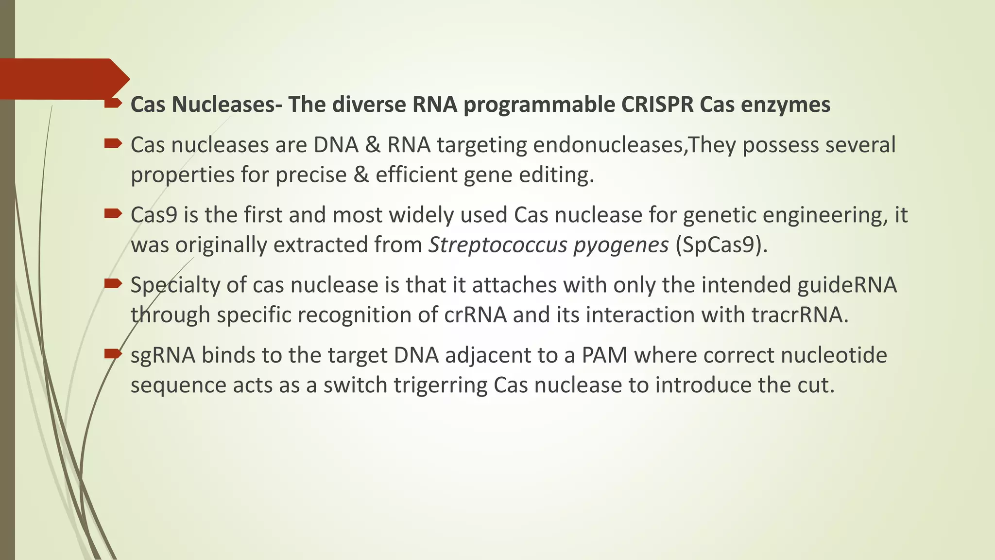 Crispr guides the_future_of_genetic_engineering[1] | PPTX