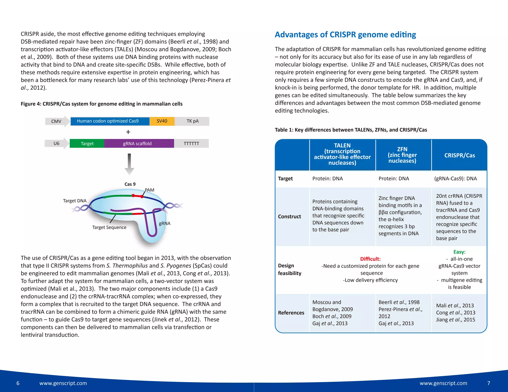 Crispr handbook 2015 | PDF