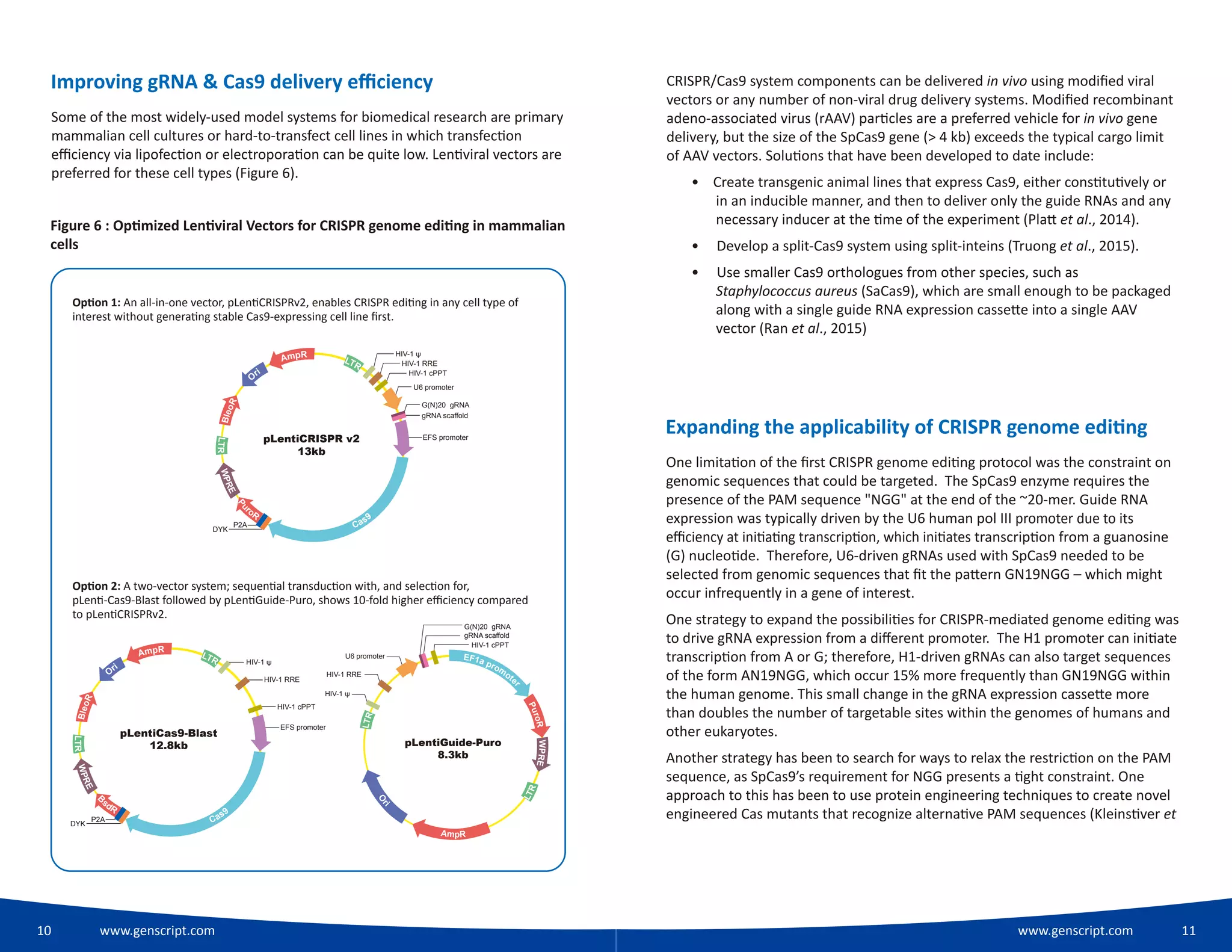 Crispr handbook 2015 | PDF