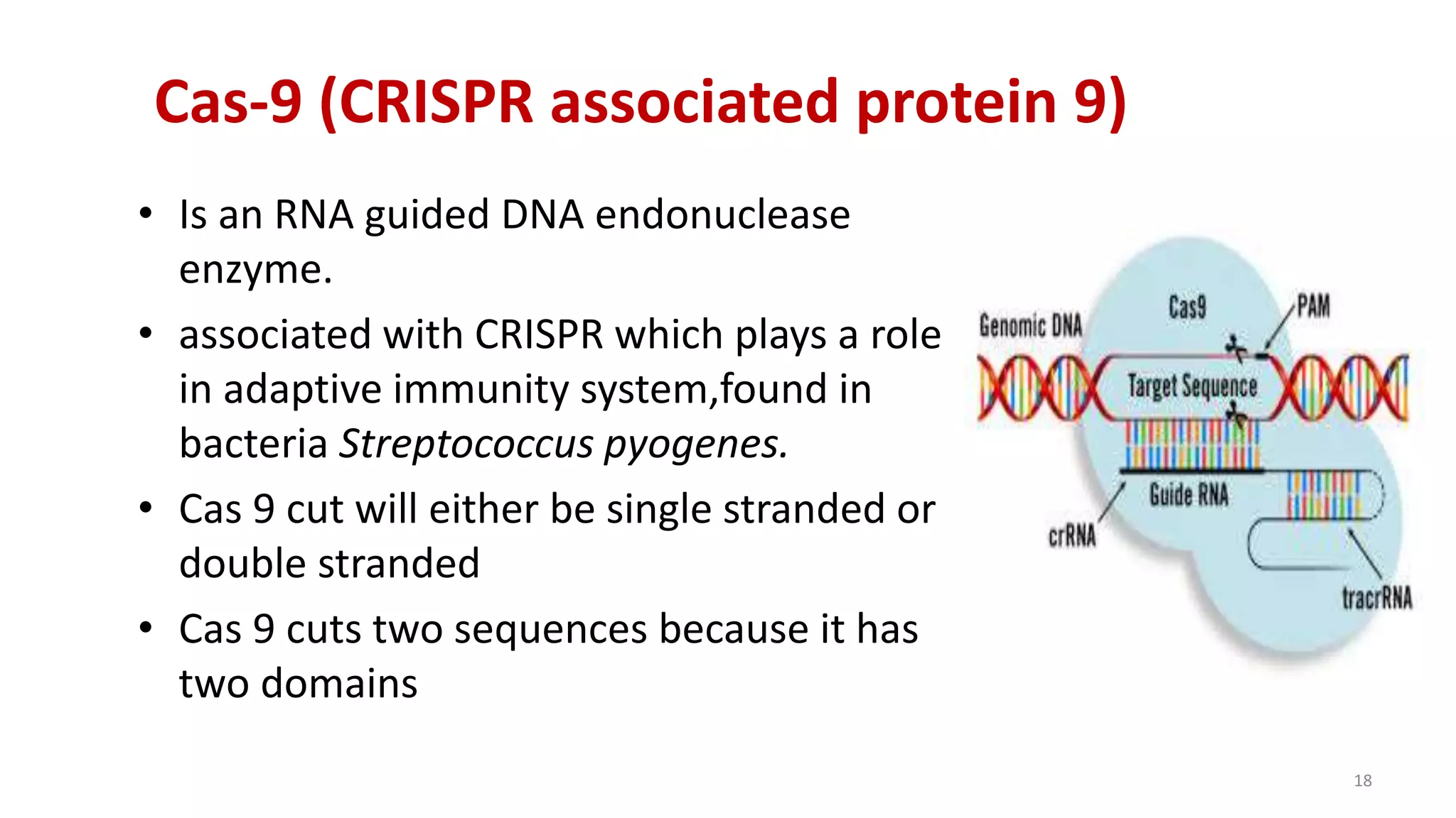 CRISPR LECTURE.pptx