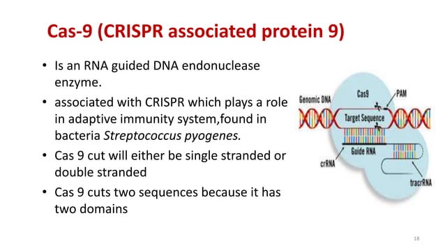 CRISPR LECTURE.pptx