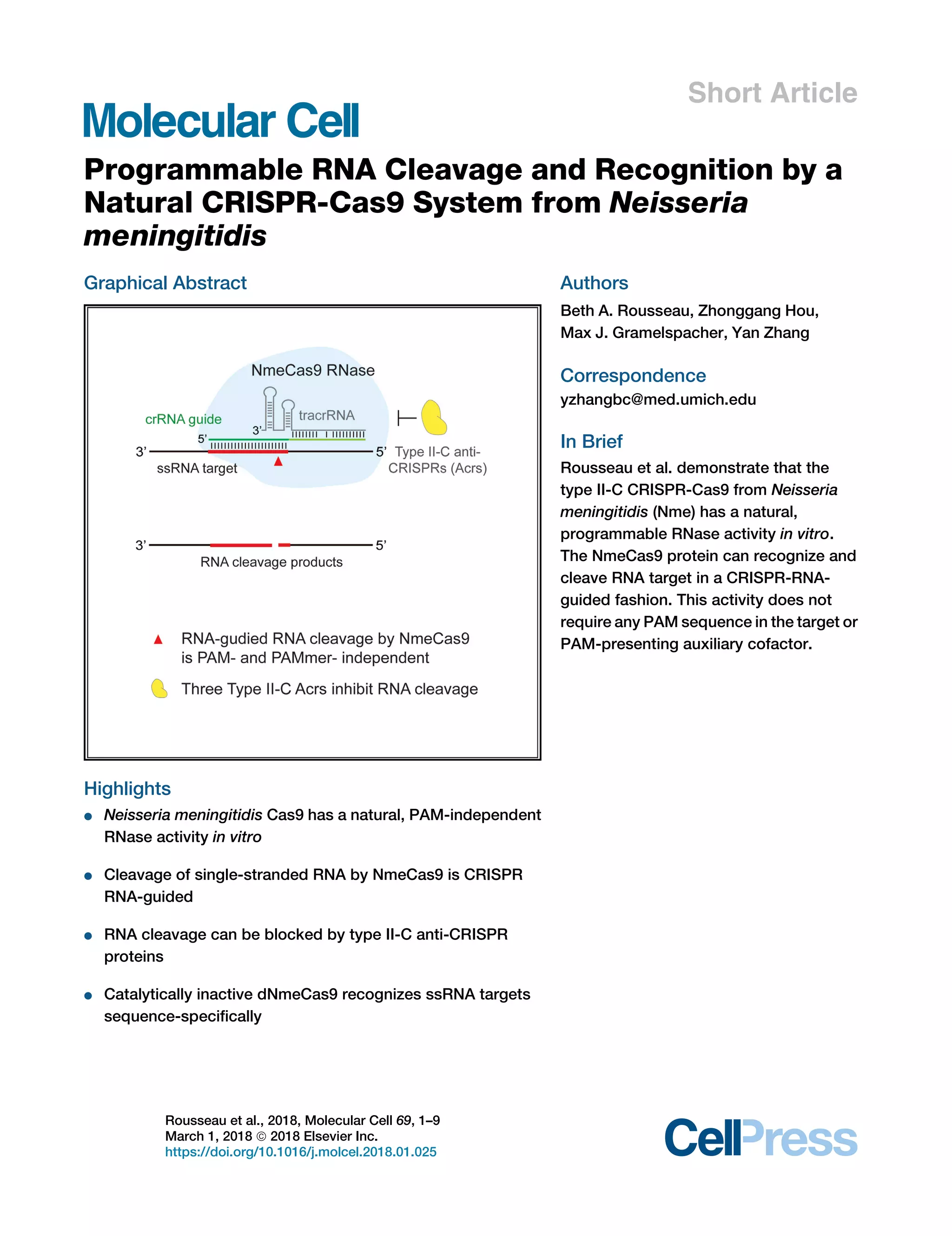CRISPR Utilization at RNA Level | PDF | Programming Languages | Computing