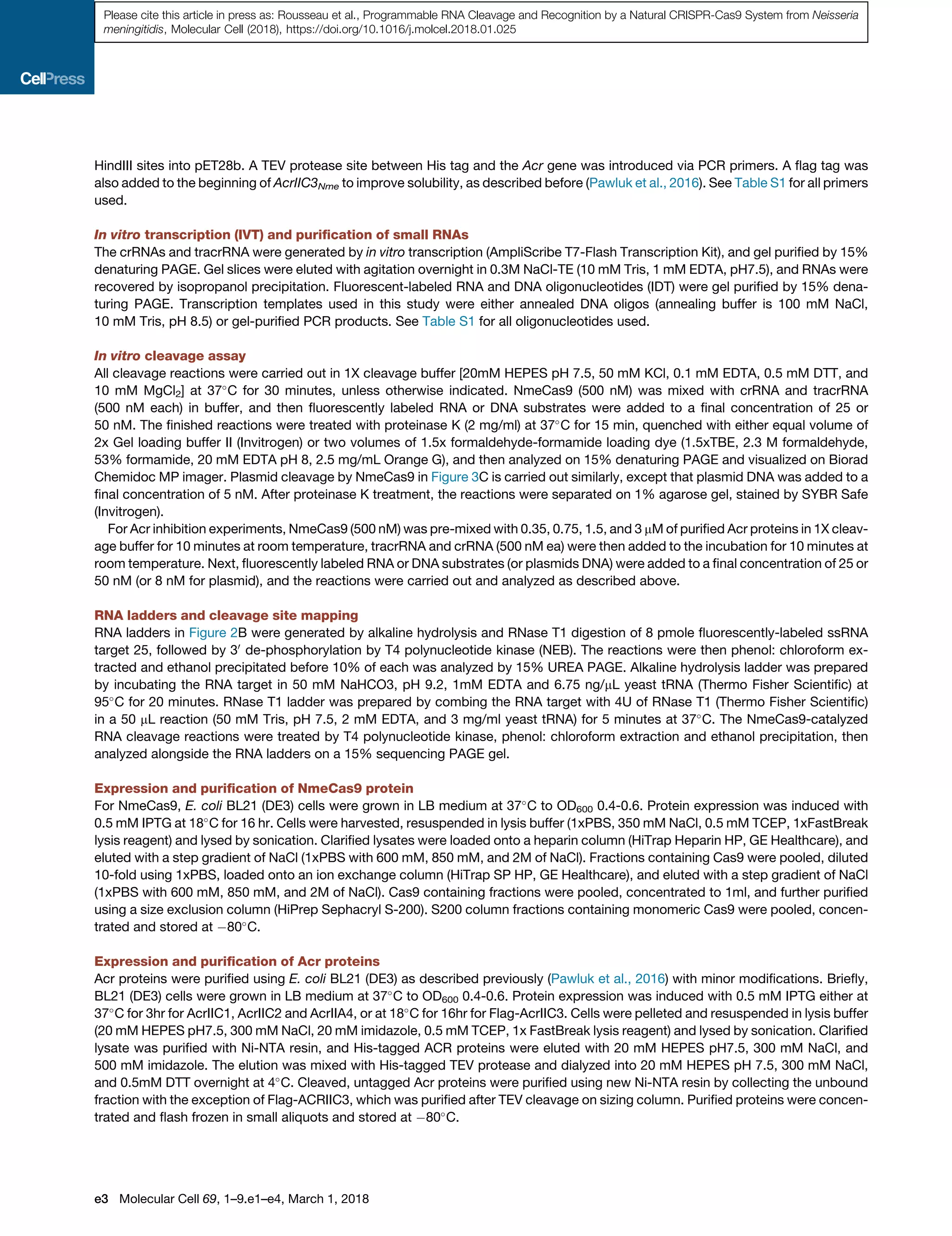 CRISPR Utilization at RNA Level | PDF | Programming Languages | Computing