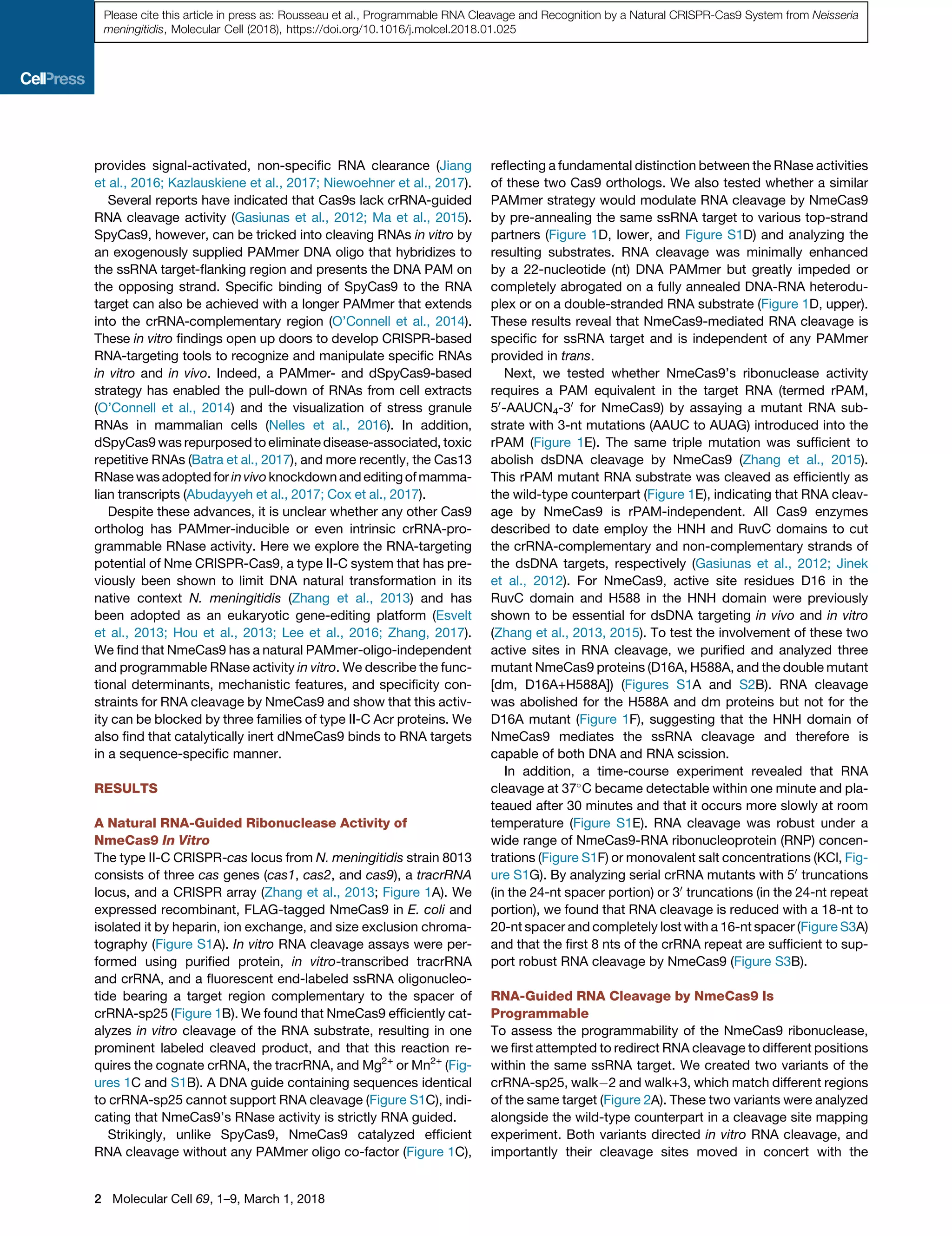 CRISPR Utilization at RNA Level | PDF | Programming Languages | Computing