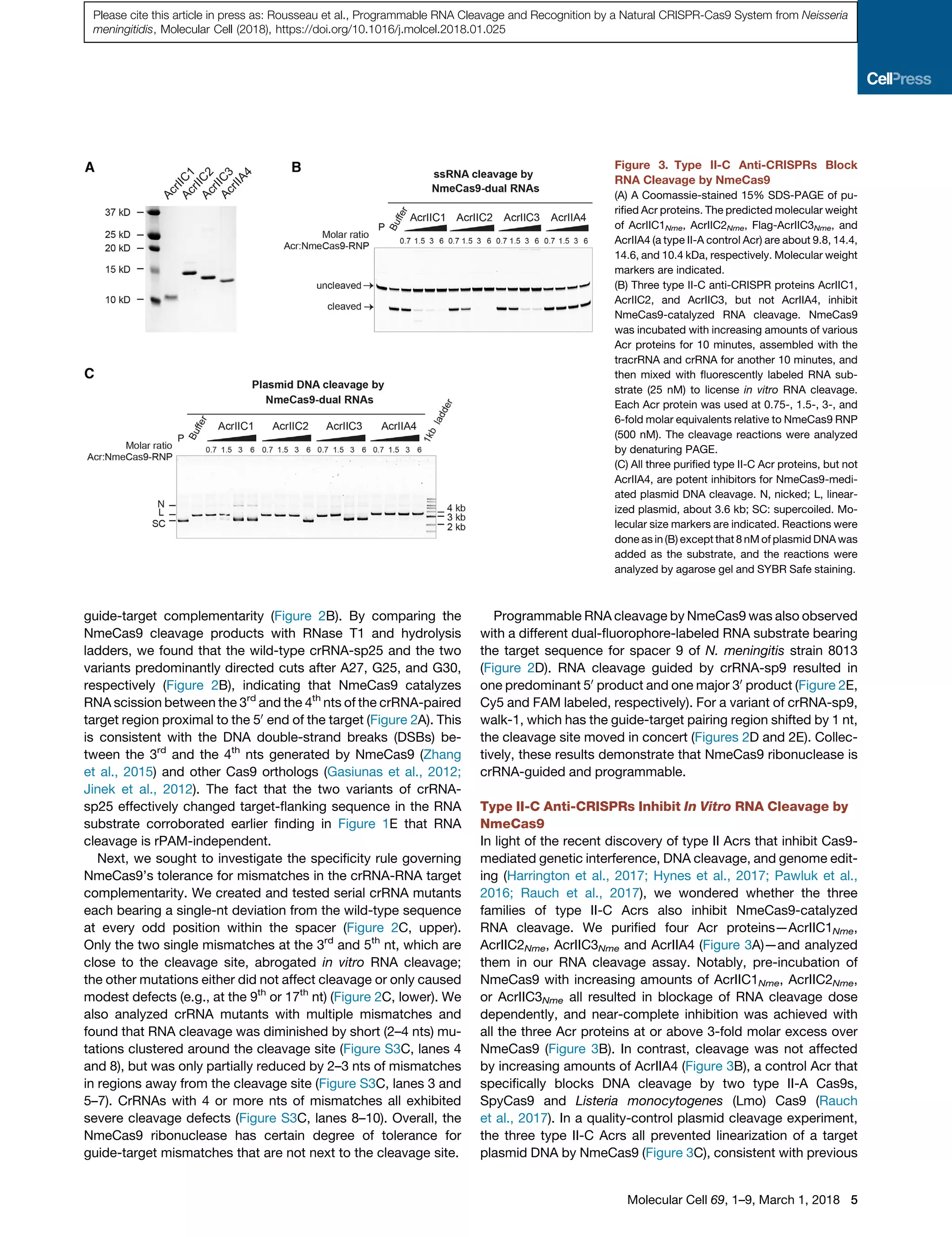 CRISPR Utilization at RNA Level | PDF | Programming Languages | Computing