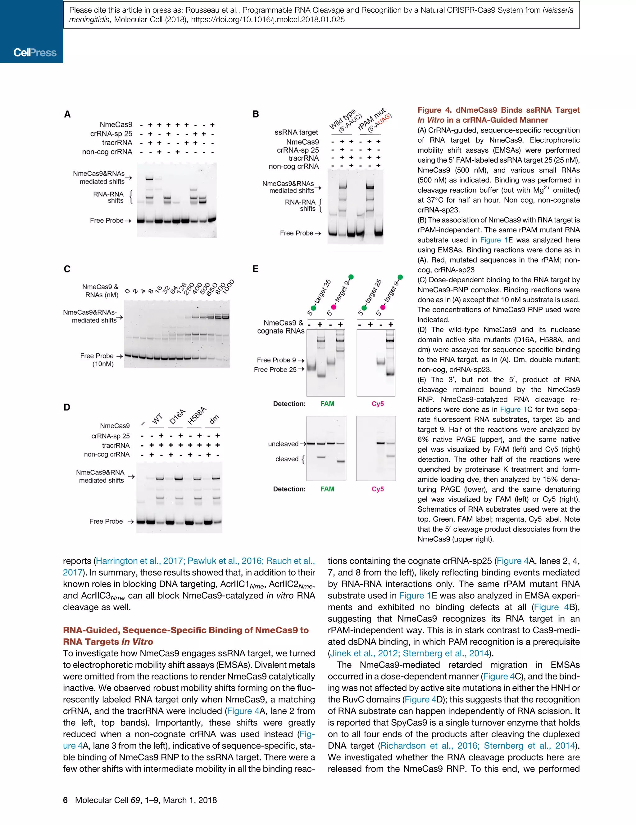 CRISPR Utilization at RNA Level | PDF | Programming Languages | Computing