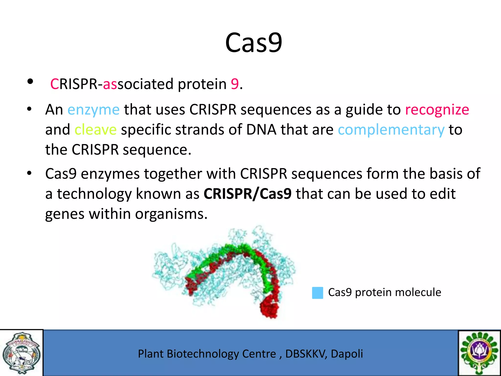 Multi Target Gene Editing using CRISPR Technology for Crop Improvement ...