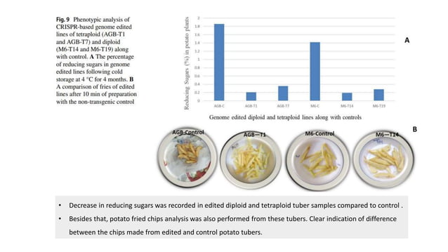 CRISPR/Cas-9 mediated genome editing in polyploidy potatoes | PPTX