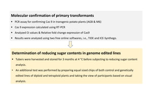 CRISPR/Cas-9 mediated genome editing in polyploidy potatoes | PPTX