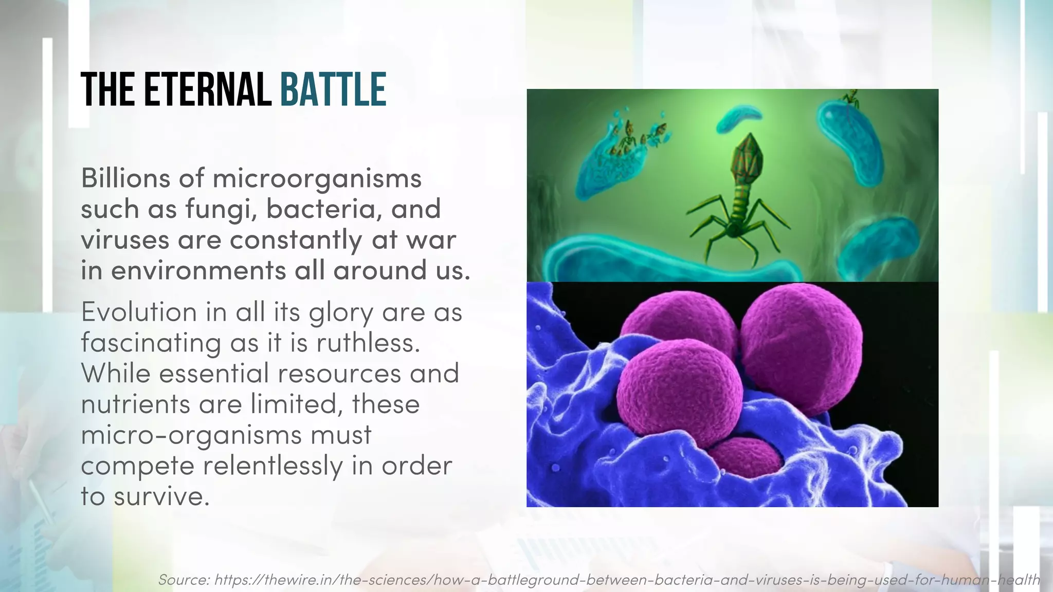 CRISPR Origins: The Battle Between Viruses & Bacteria | PDF
