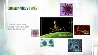 CRISPR Origins: The Battle Between Viruses & Bacteria | PDF