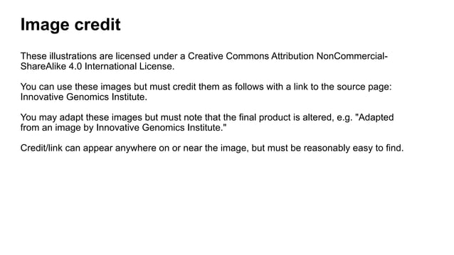 The phage life cycle Ciclo de vida de los fagos | PPT