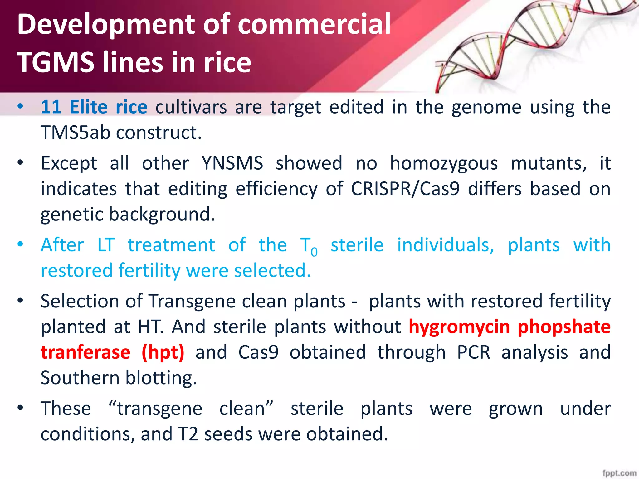 CRISPR in crop Improvement, CRISPR/Cas Genome editing tool | PPTX