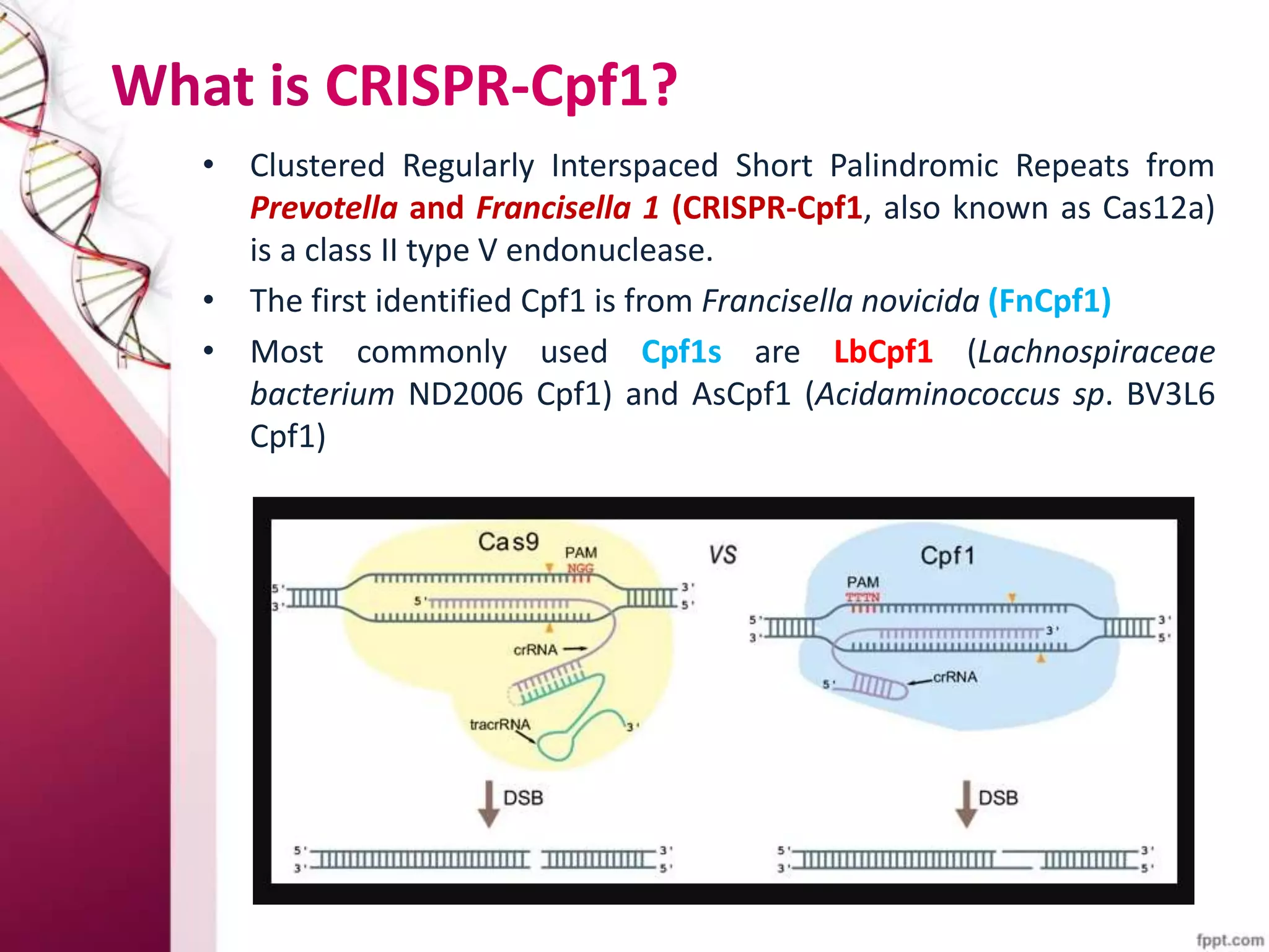 CRISPR in crop Improvement, CRISPR/Cas Genome editing tool | PPTX