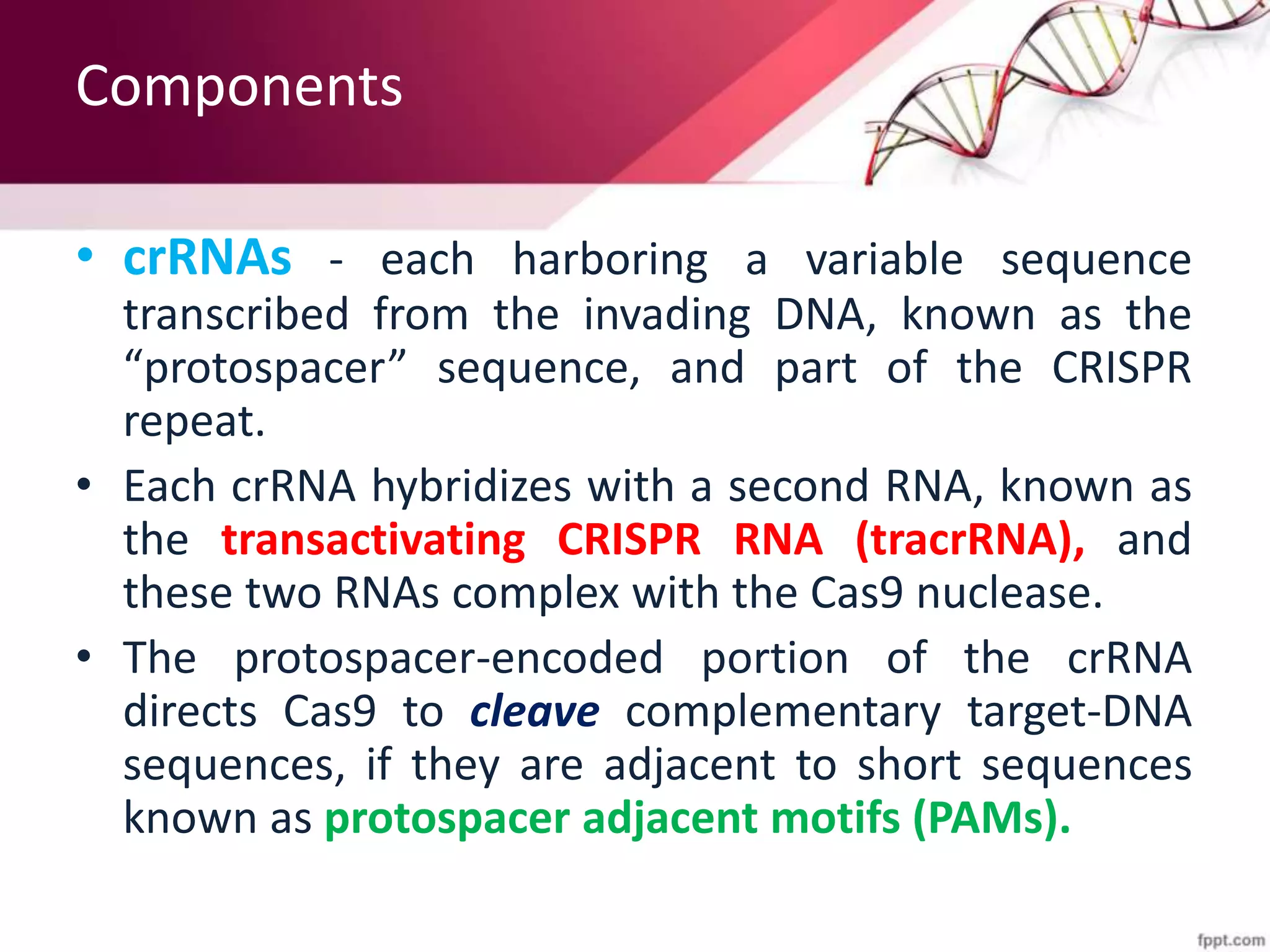 CRISPR in crop Improvement, CRISPR/Cas Genome editing tool | PPTX