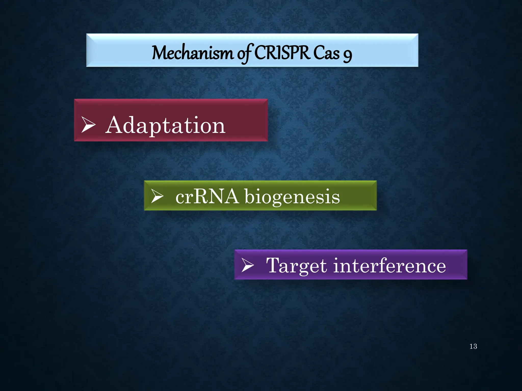 CRISPR PPT.pptx