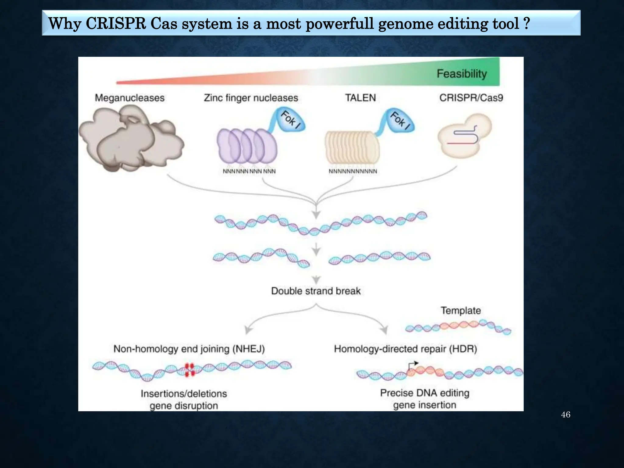 CRISPR PPT.pptx