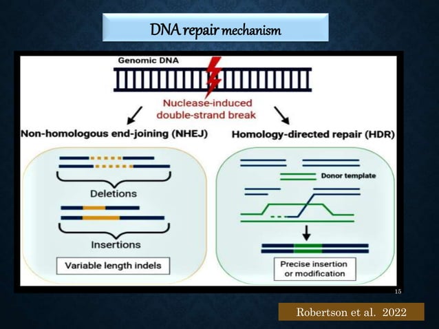 CRISPR PPT.pptx