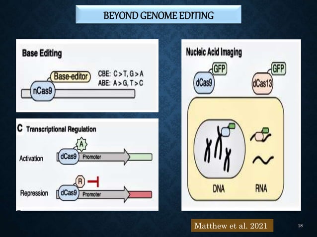 CRISPR PPT.pptx