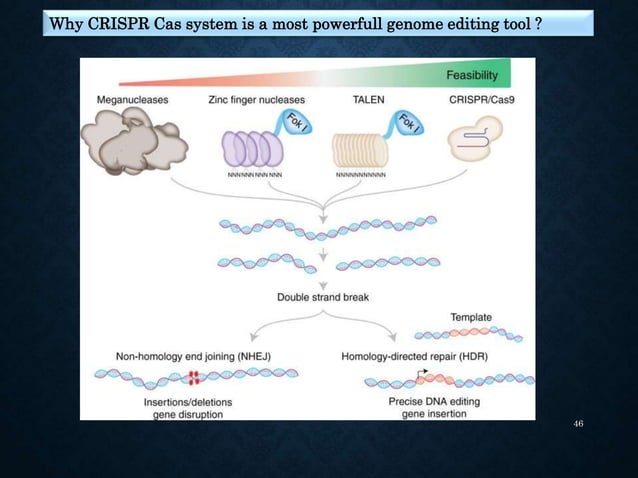 CRISPR PPT.pptx