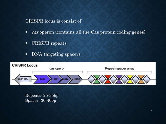 CRISPR PPT.pptx