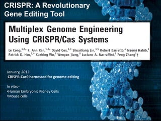 CRISPR PROJECT.pptx