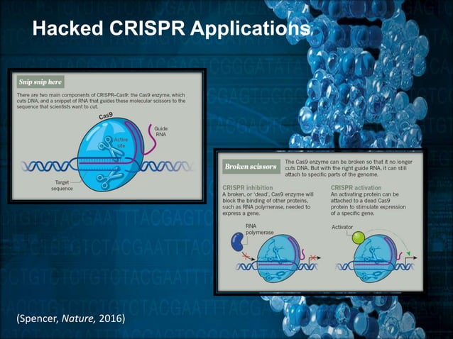 CRISPR PROJECT.pptx
