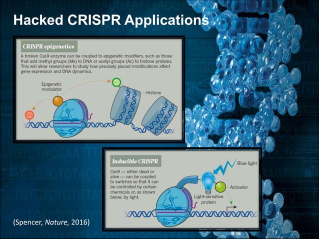 CRISPR PROJECT.pptx