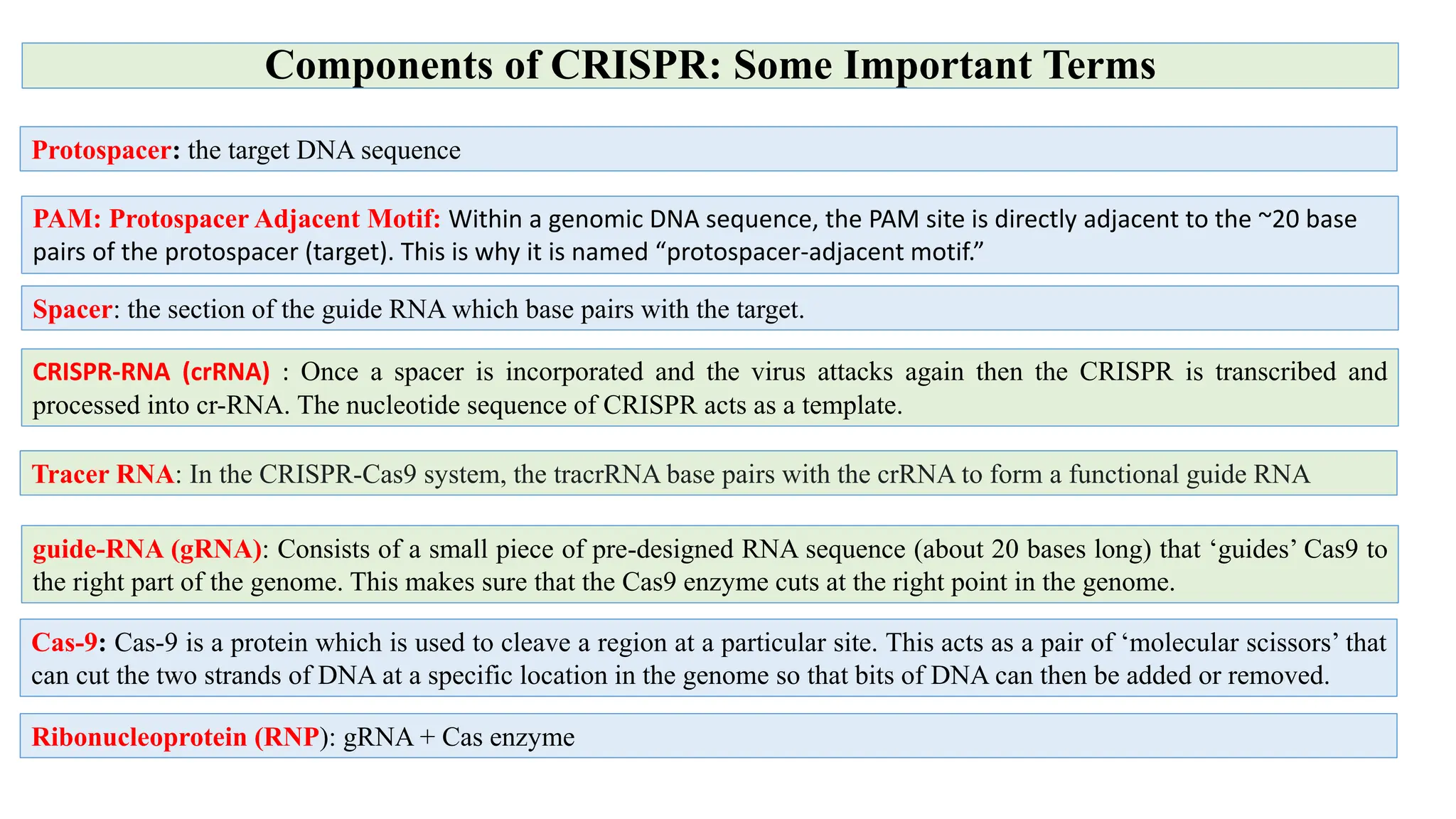 crispr genetics editing tool and technology.pdf