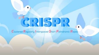 CRISPRs | PPT