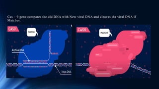 CRISPRs | PPT