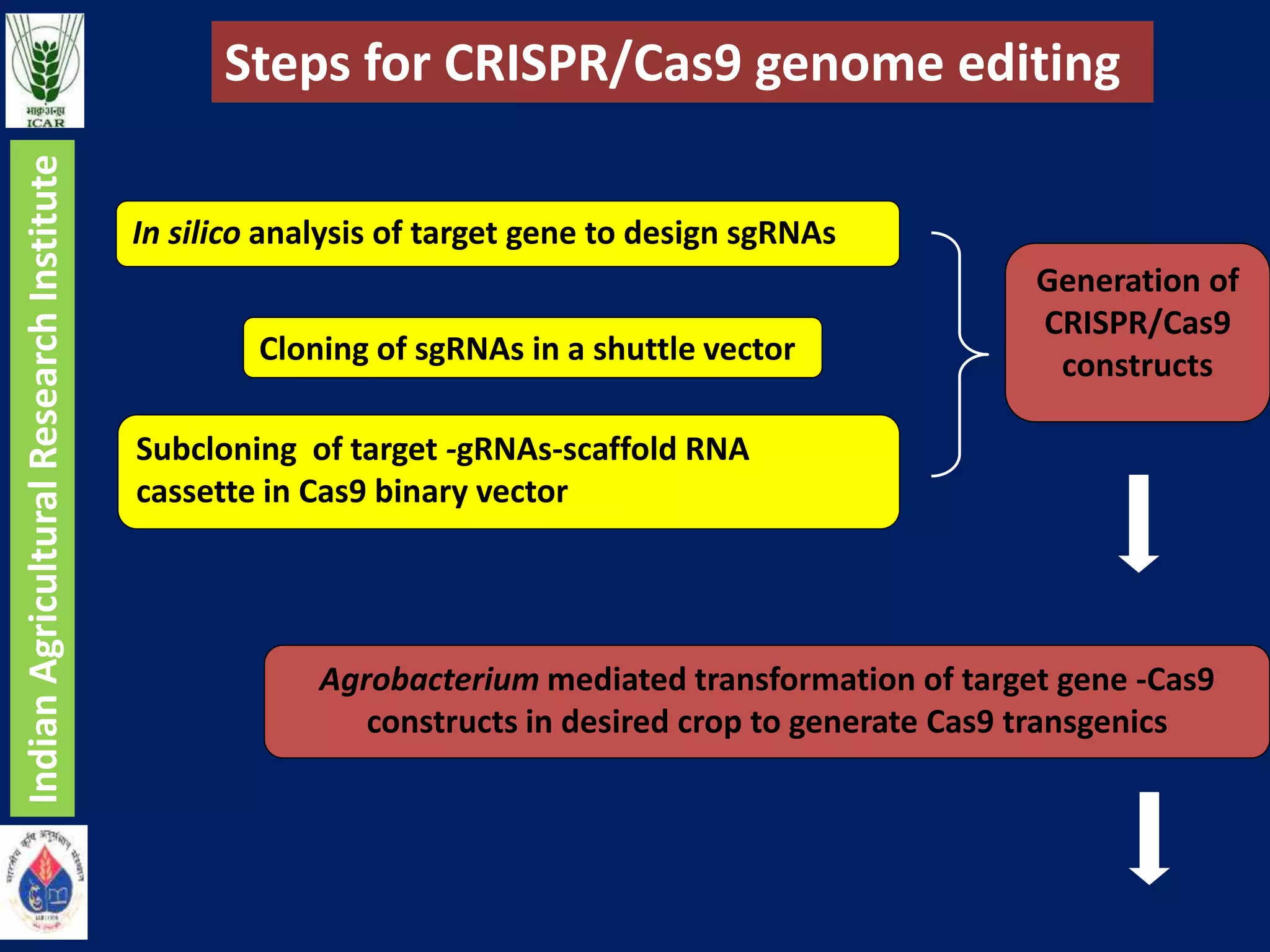 Crispr suman | PPTX