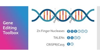 Precision Medicine, GMOs, Designer Babies, and the Future of Gene ...
