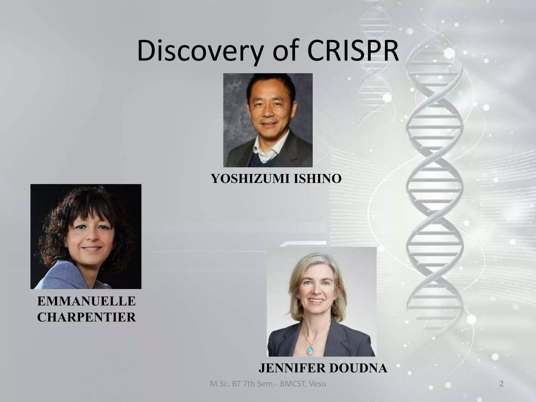 CRISPR Technology | PPTX