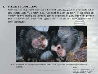 CRISPR Technology | PPTX