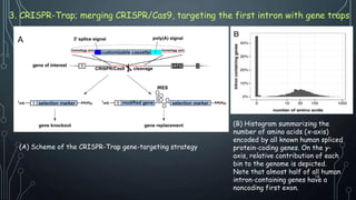 Crispr trap | PPT