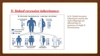Criss cross inheritance | PPT